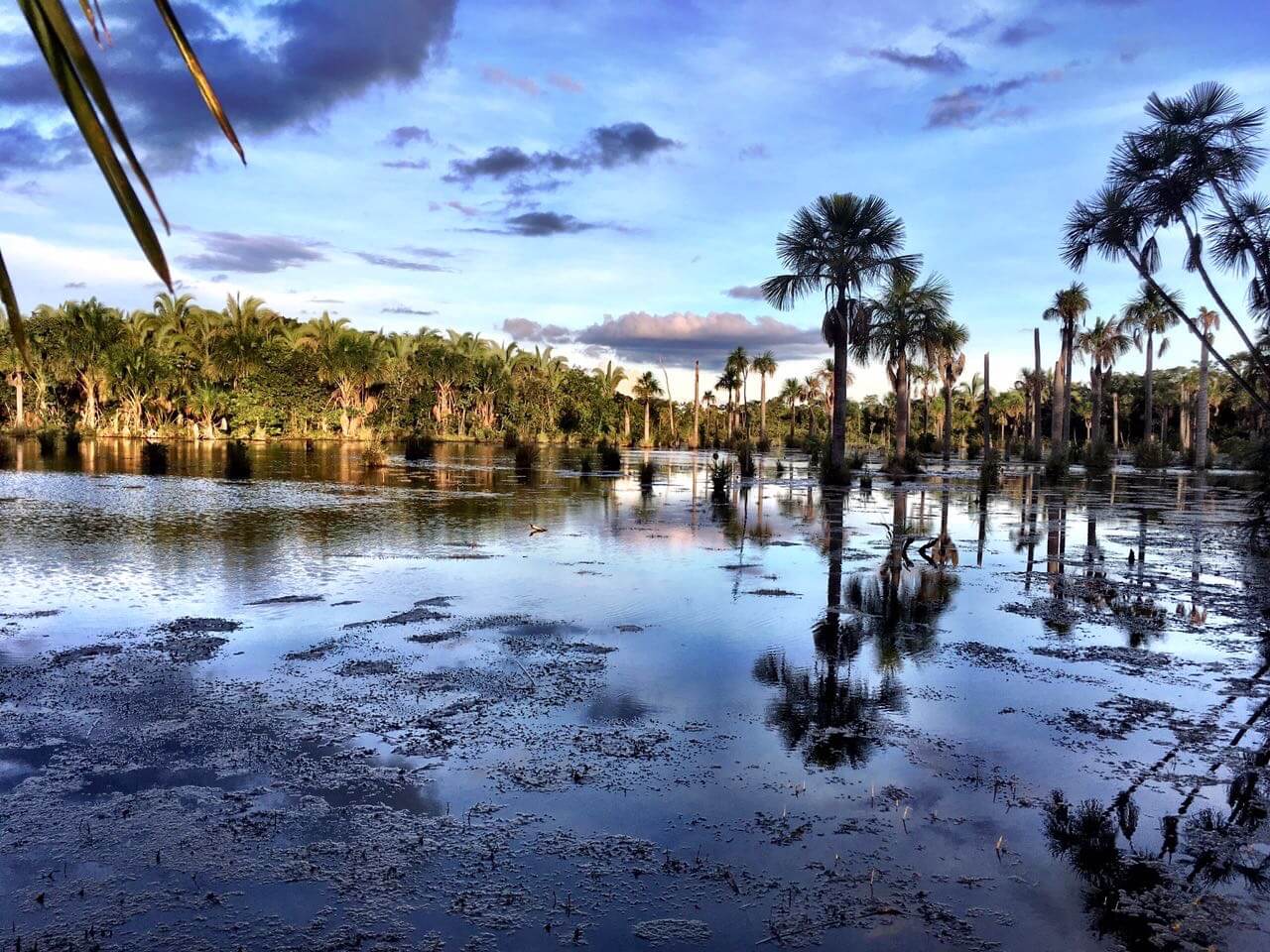 O que fazer, como chegar e onde dormir em Nobres - Mato Grosso [ Veja ]