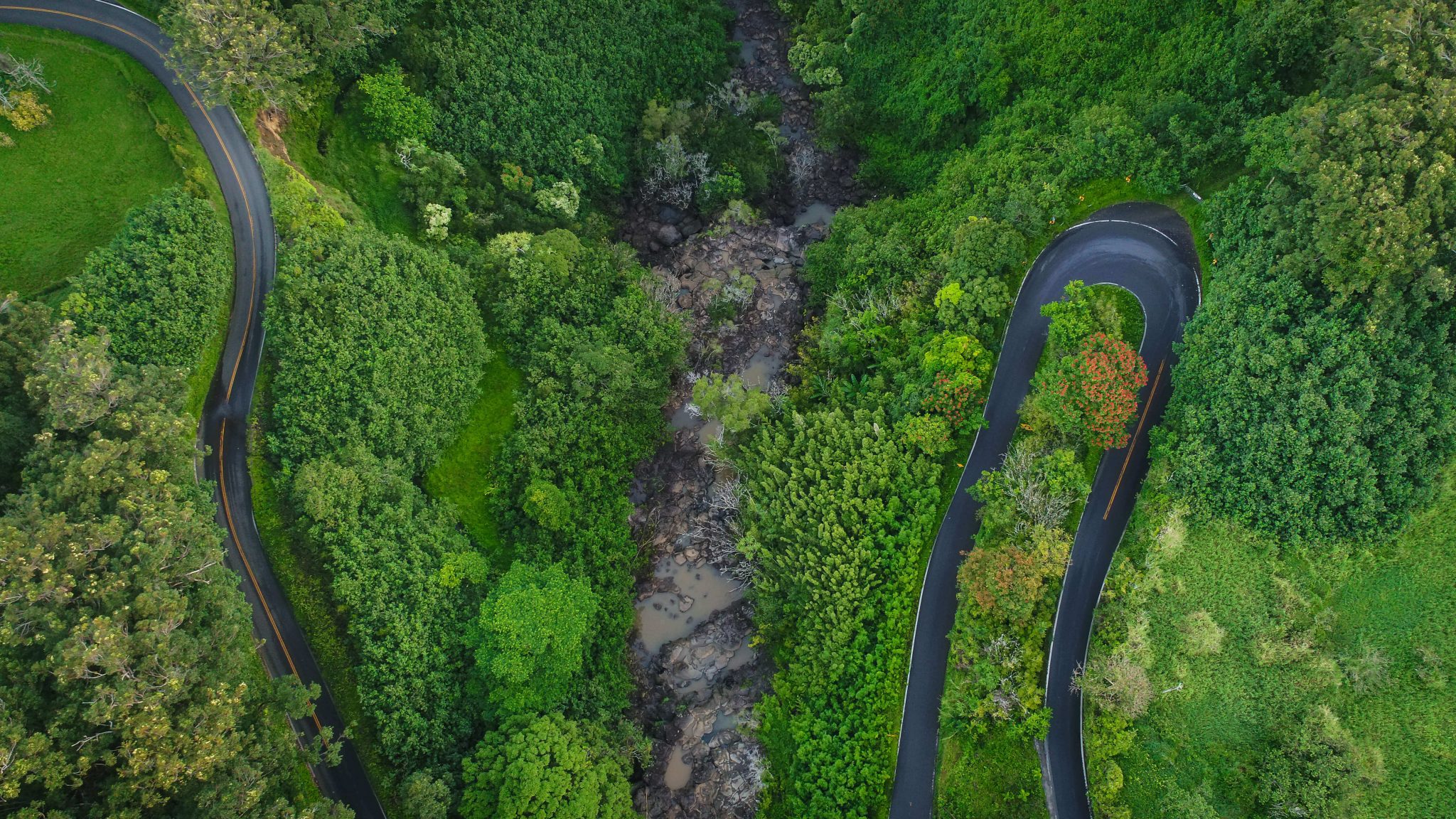 ROAD TO HANA - MAUI (HAVAÍ): GUIA COMPLETO! - Rodsnaideia